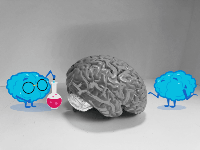 Best Trivia Games For Adults (10 Types That Don't Suck) Best Trivia Games For Adults (10 Types That Don't Suck)